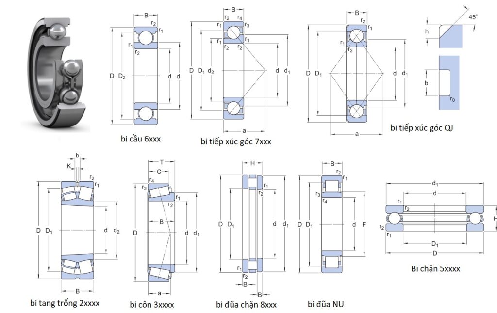 Xác định kích thước vòng bi SKF » Vòng Bi Công Nghiệp